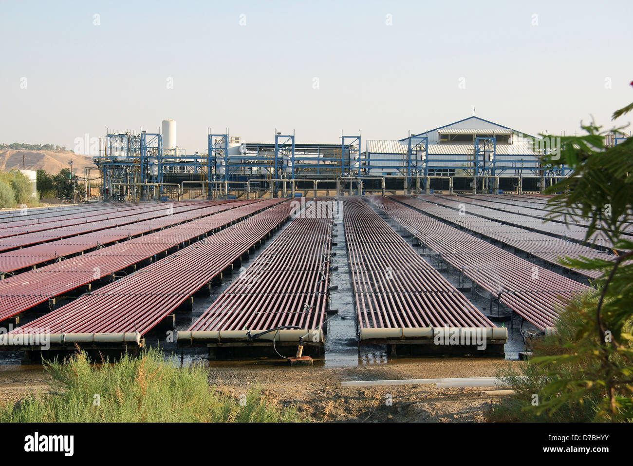 Alga Technologies (Algatech) plant in Kibbutz Ketura, in the Arava ...