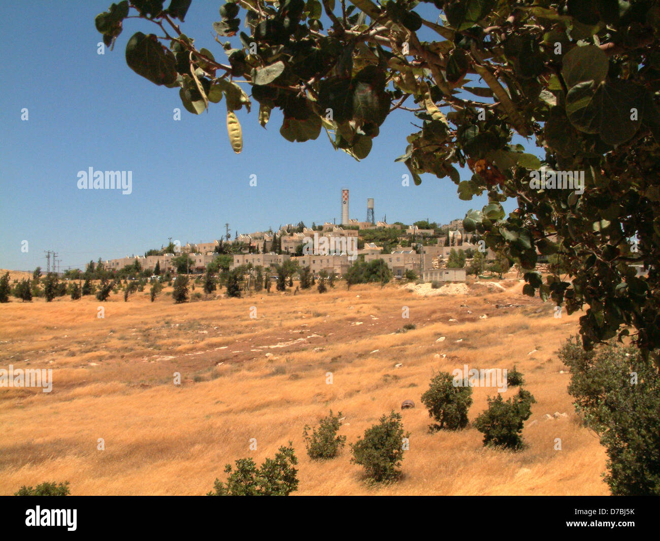 maaleh michmash settlement in judea Stock Photo - Alamy