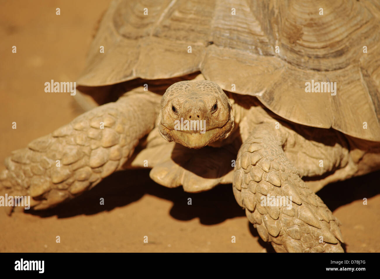 Quite walks hi-res stock photography and images - Alamy