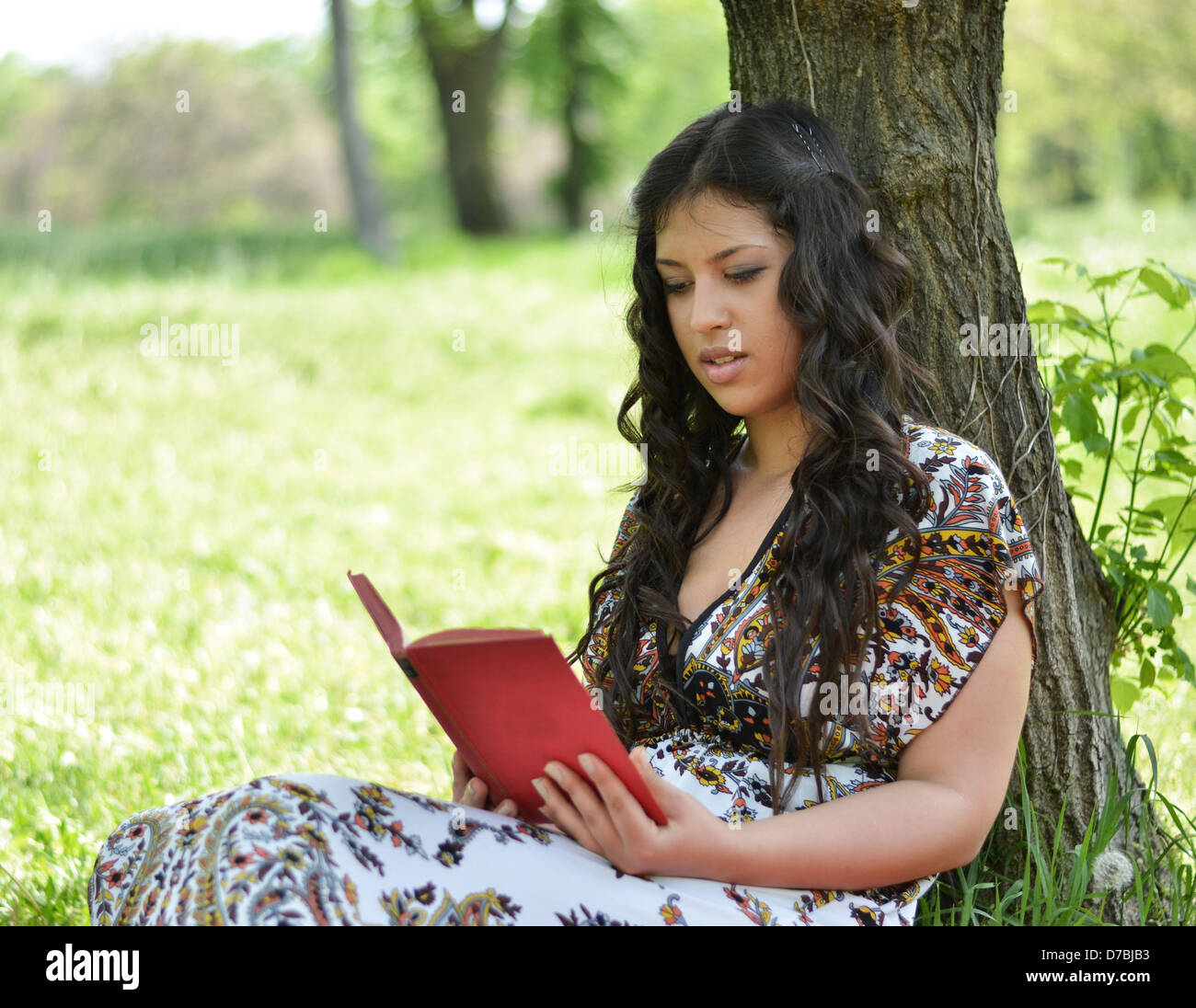 Cute read book tree hi-res stock photography and images - Alamy