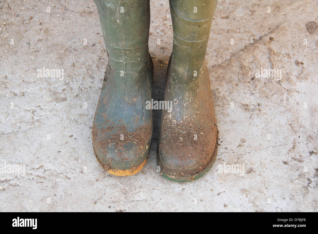 Boots at the diary farming of kibbutz Ketura in the Arava Stock Photo ...
