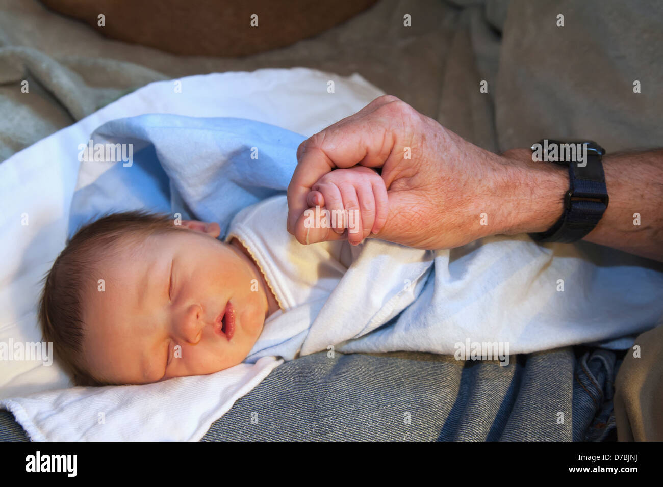 Hands clutching hair hi-res stock photography and images - Alamy