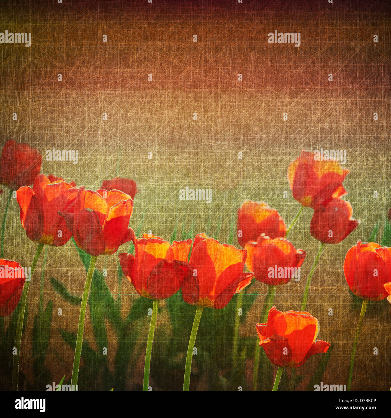 Grunge paper texture. abstract nature background Stock Photo - Alamy