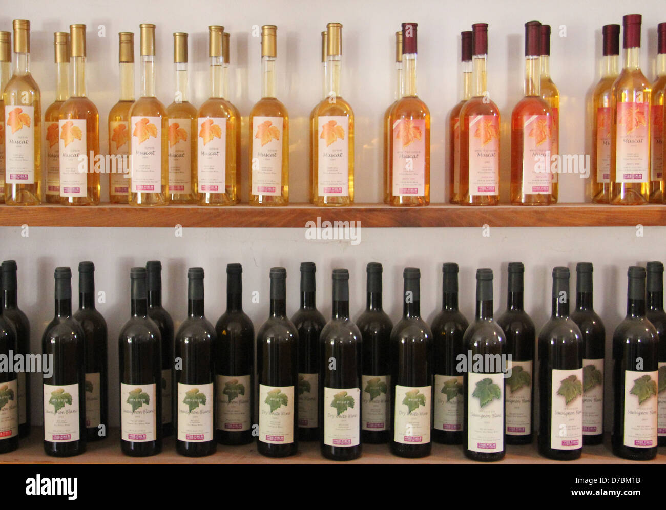 The wine cellar of Neot Smadar Winery in the southern Negev Stock Photo ...