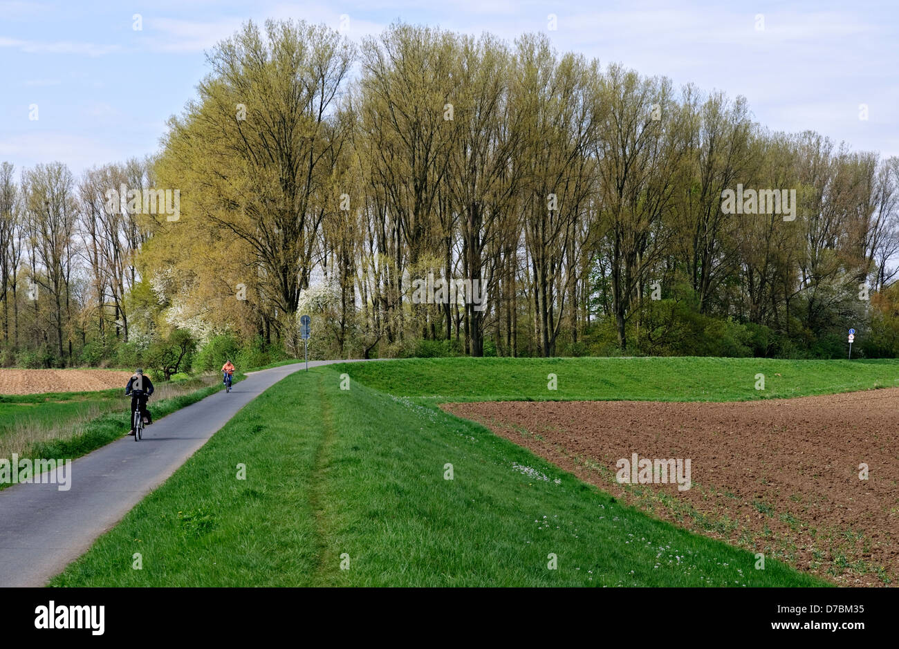 Old Rhine Dyke in Meerbusch, NRW, Germany Stock Photo - Alamy
