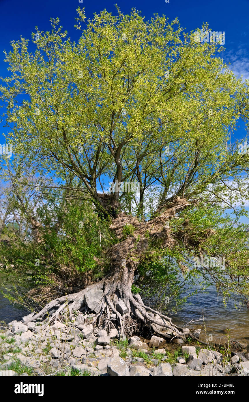 Rhine water levels hi-res stock photography and images - Alamy