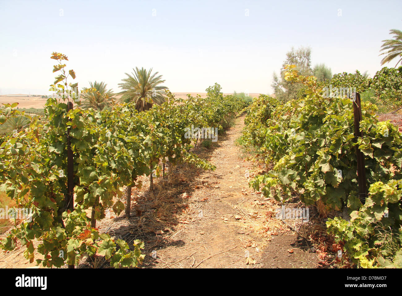 20746a hi-res stock photography and images - Alamy