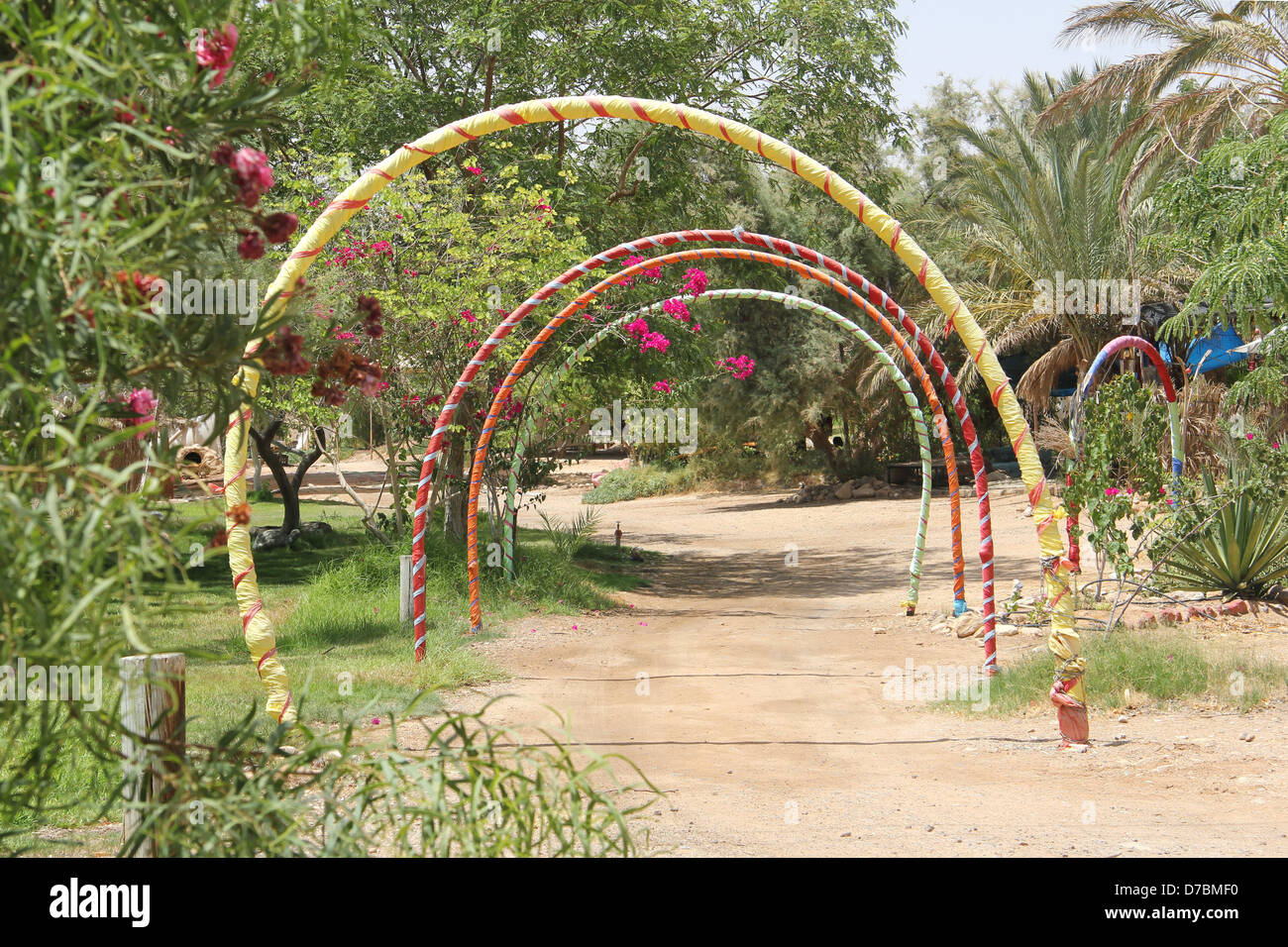 Shittim High Resolution Stock Photography and Images - Alamy