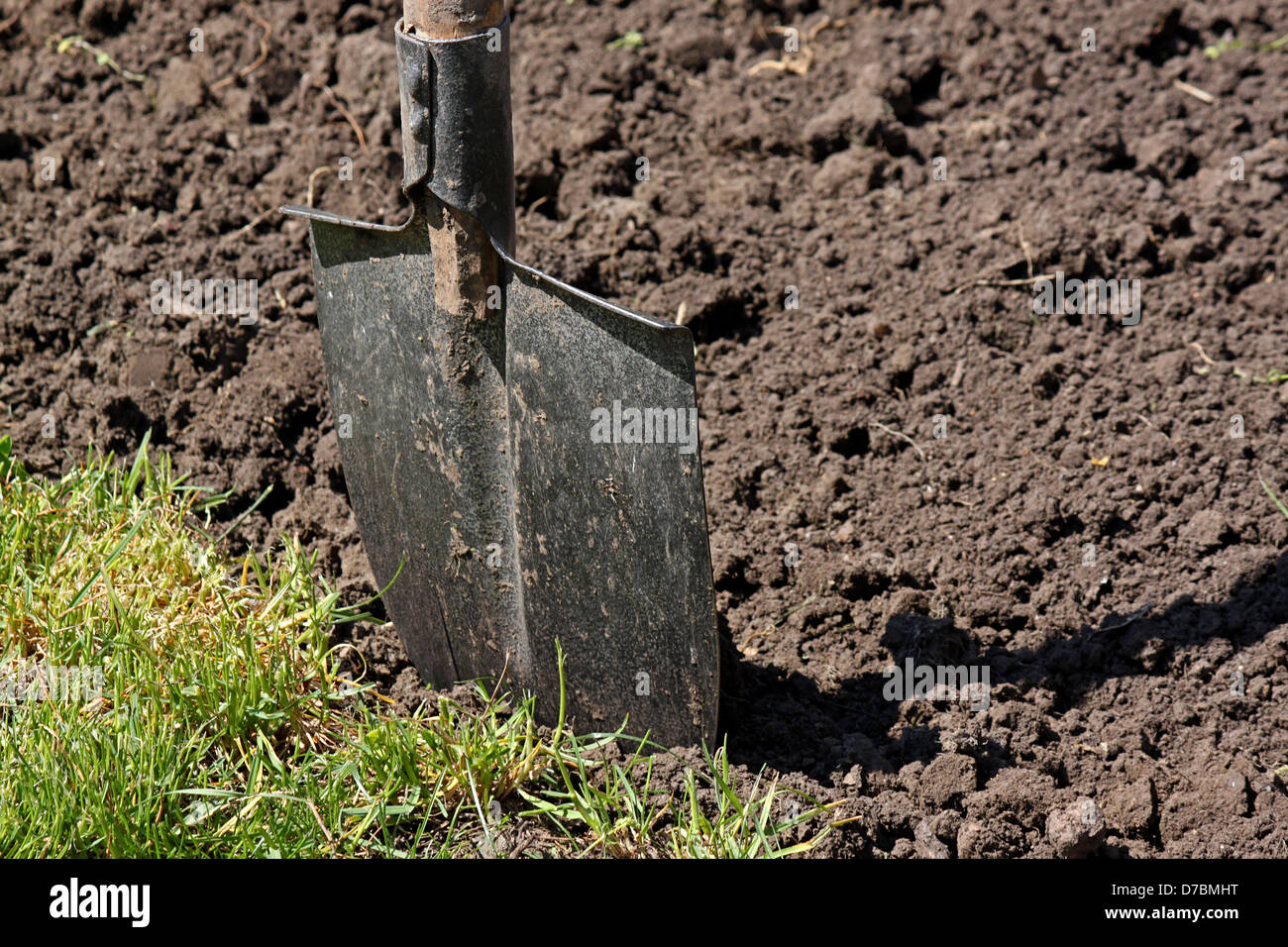 Close up shovel in garden hi-res stock photography and images - Alamy