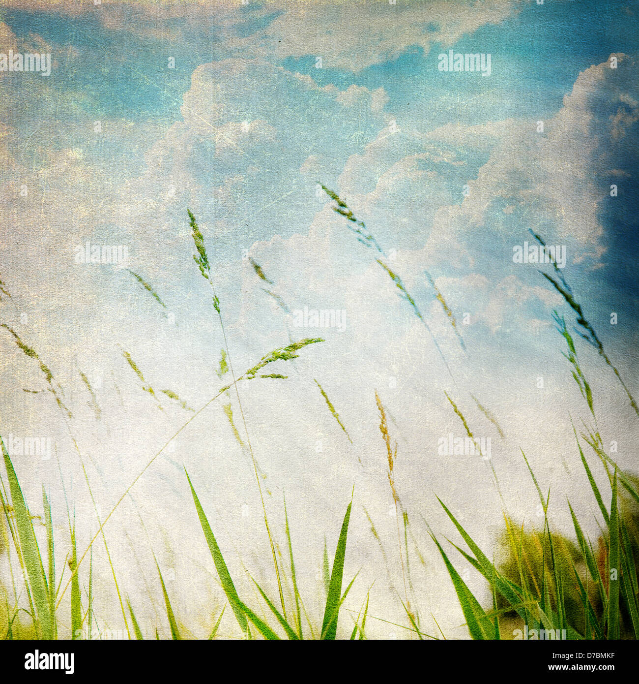 Grunge paper texture. abstract nature background Stock Photo - Alamy