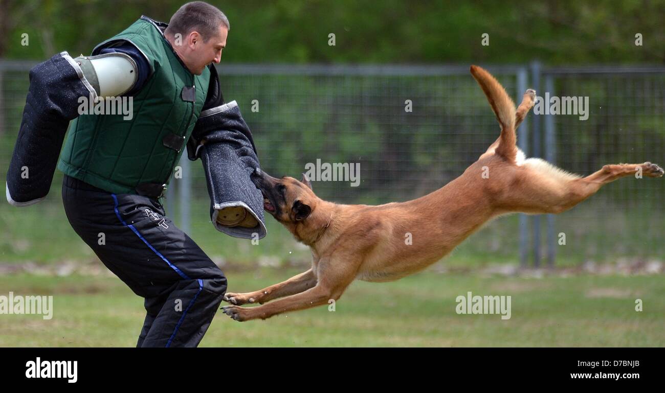 Potential service hi-res stock photography and images - Alamy