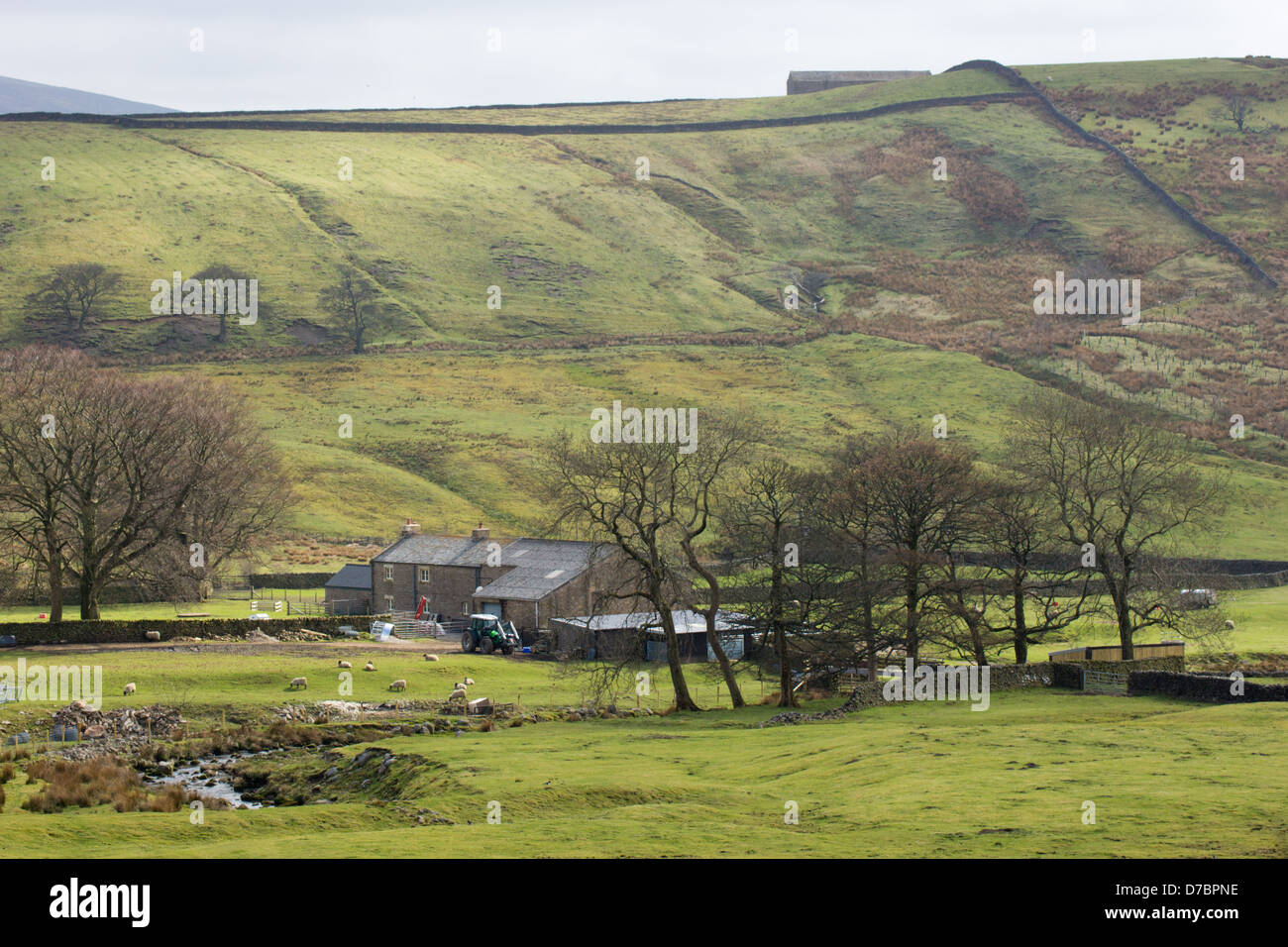 Remote farms in the forest of bowland Stock Photo - Alamy