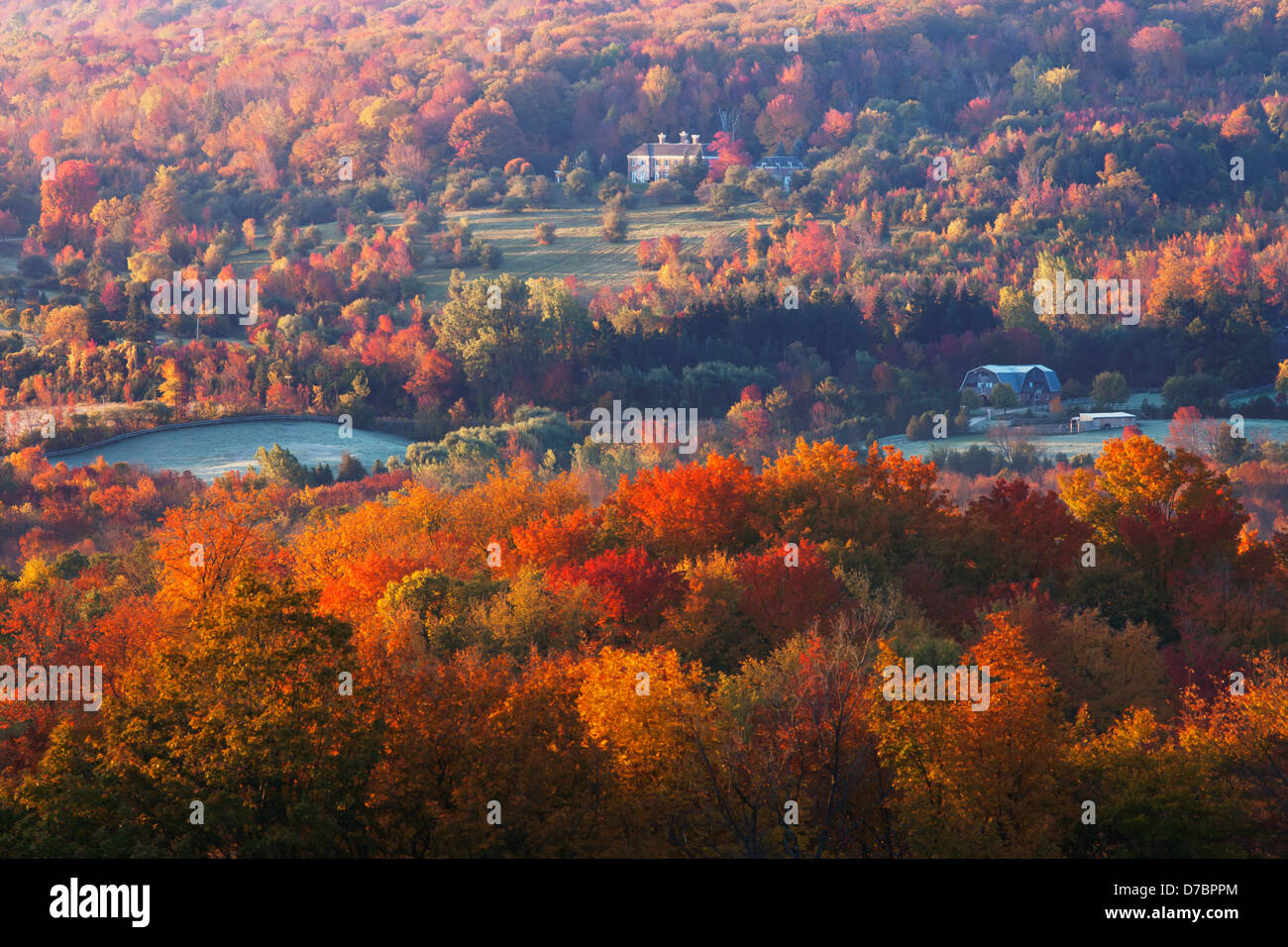 Rolling Countryside Just North Of Inglewood Caledon On An Autumn ...