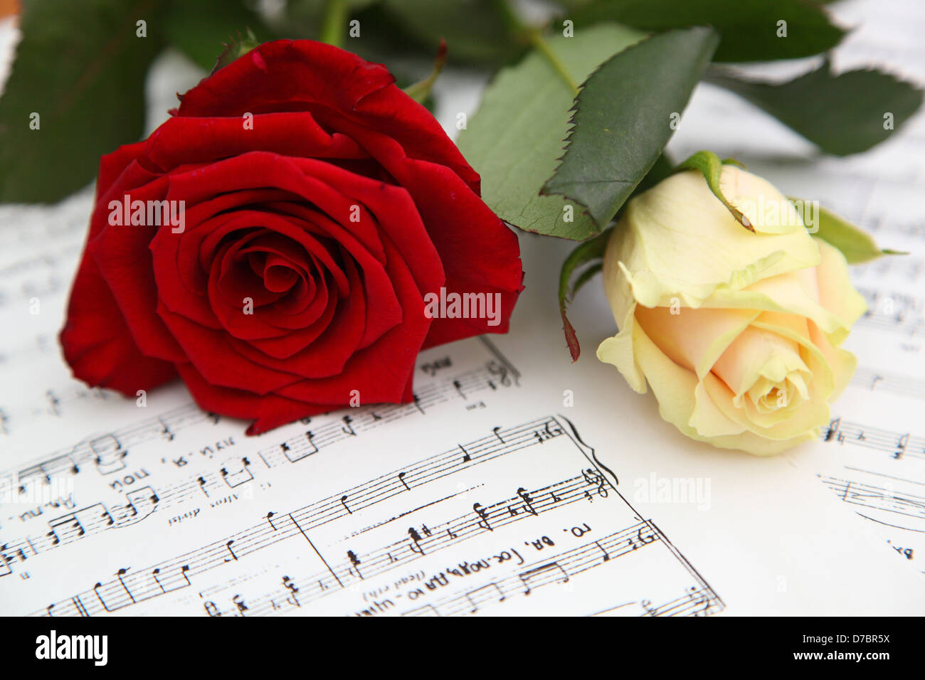 Sheet music rose piano hi-res stock photography and images - Alamy