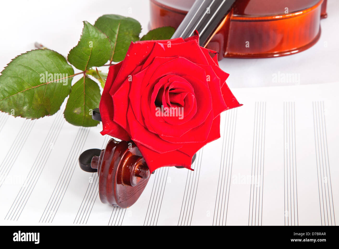 Musical flower arrangement hi-res stock photography and images - Alamy