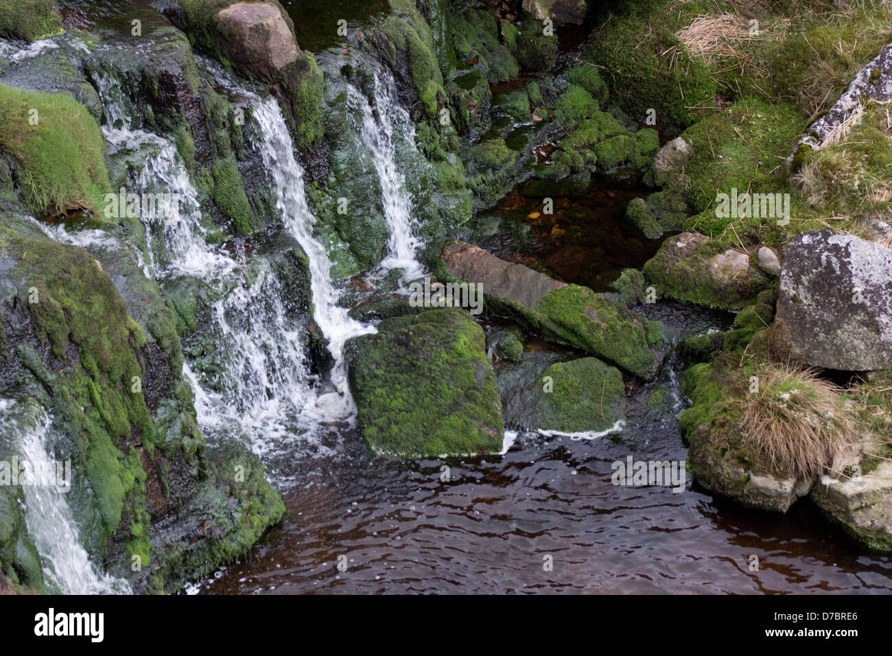 waterfall in the forest of bowland Stock Photo - Alamy