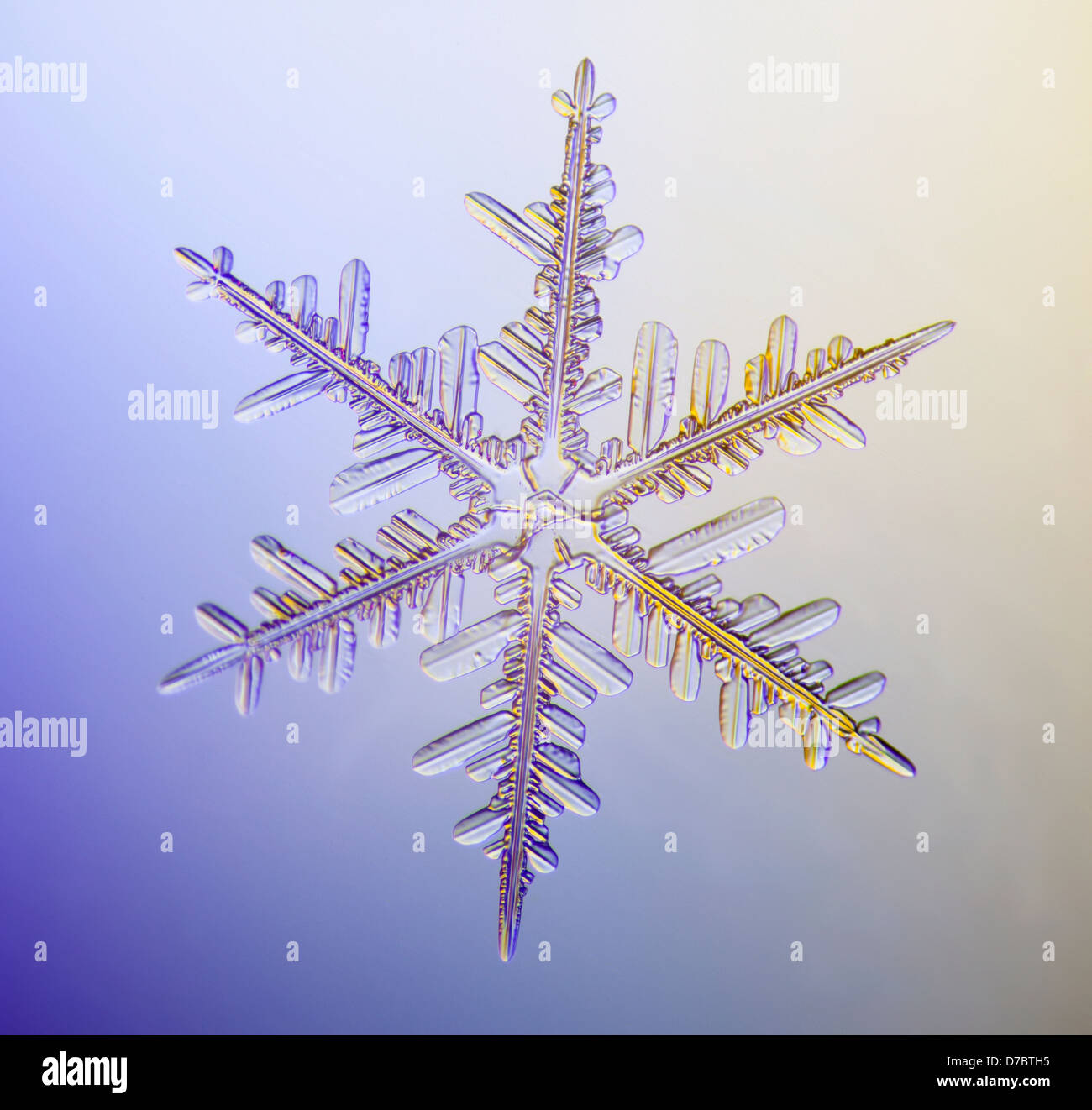 Snowflake Under Microscope