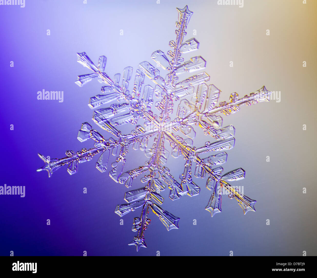 Real Snowflake Under Microscope