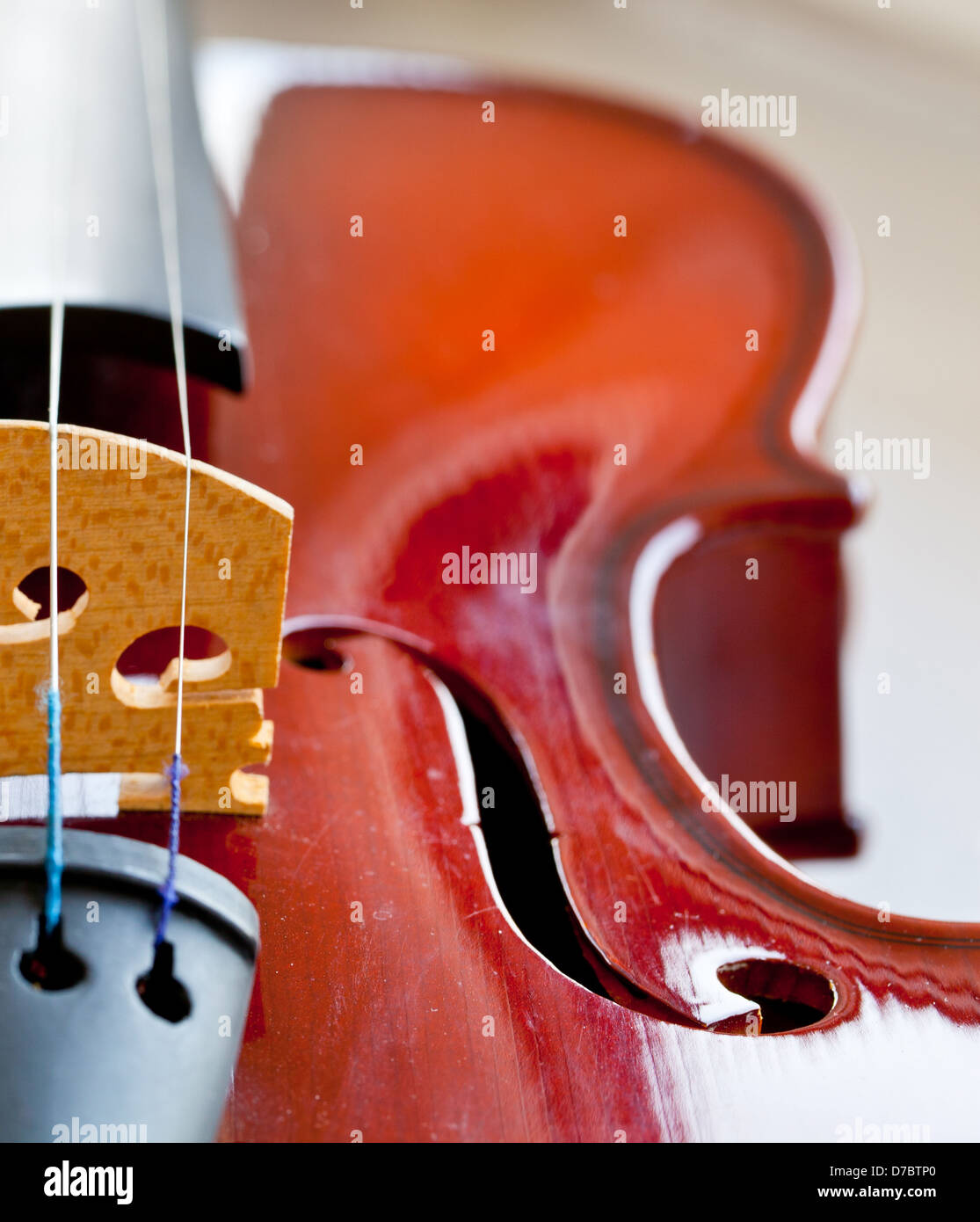 On a photo violin close up photos Stock Photo - Alamy