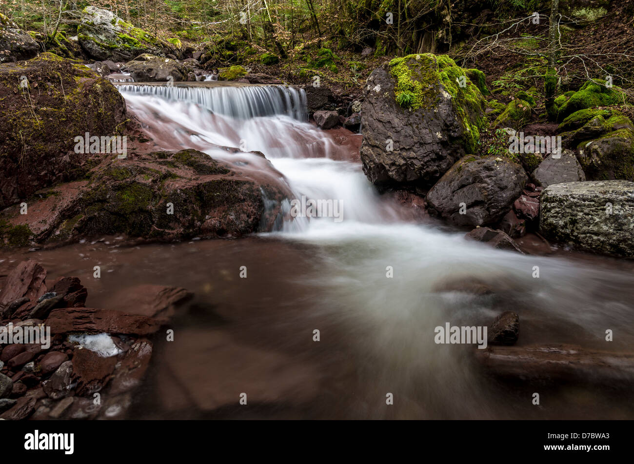 Selva de Oza Forest. Nature Park of Occidental Valleys, Huesca Pyrenees ...