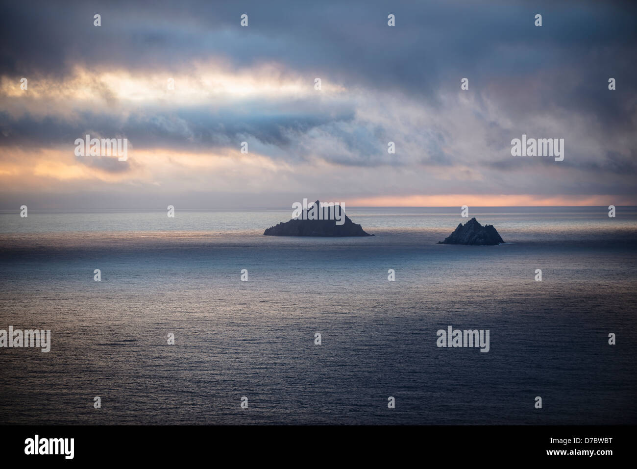 Bolus head hi-res stock photography and images - Alamy