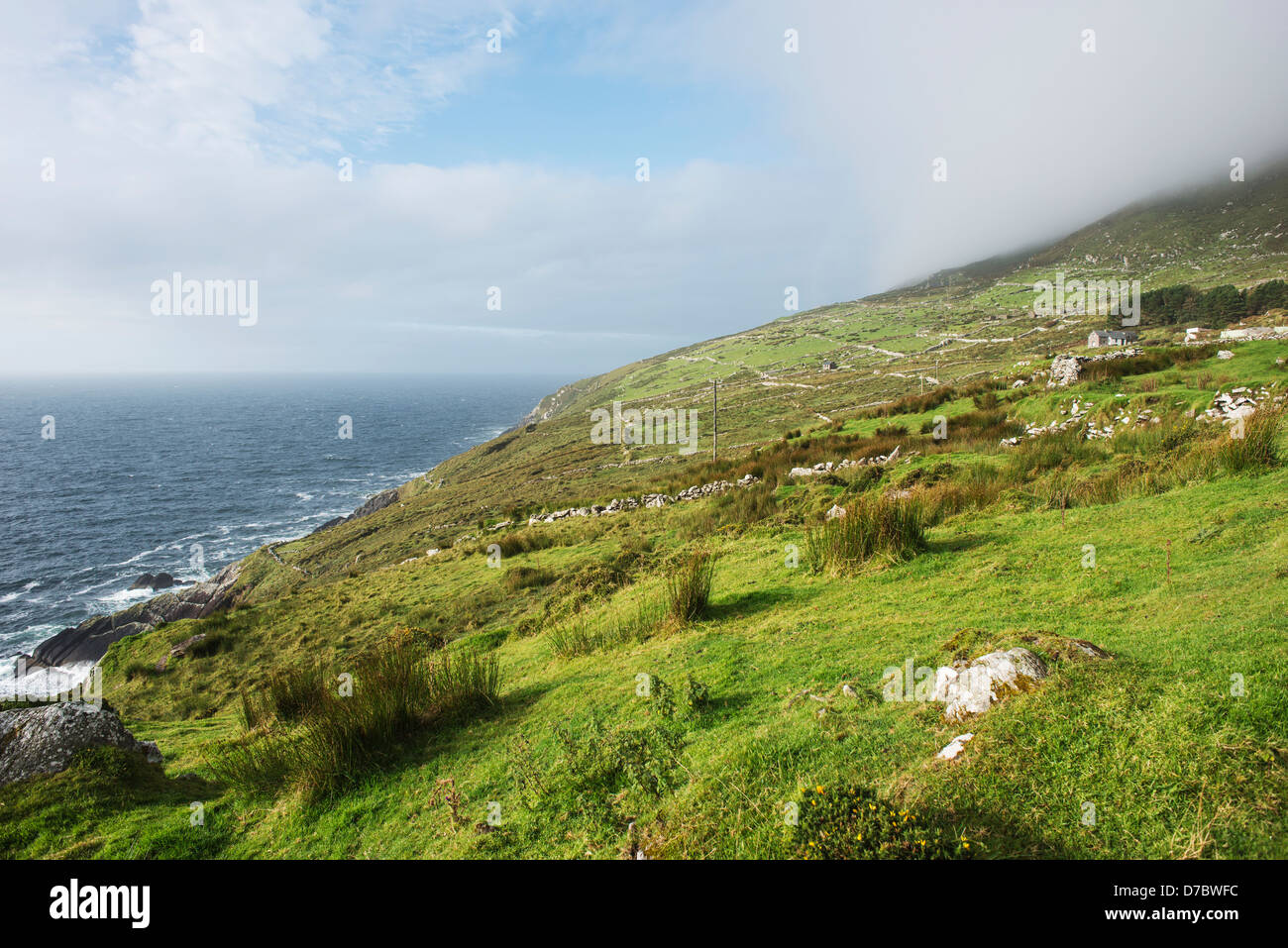 A grassy slope along the coast and the farms of bolus head ...