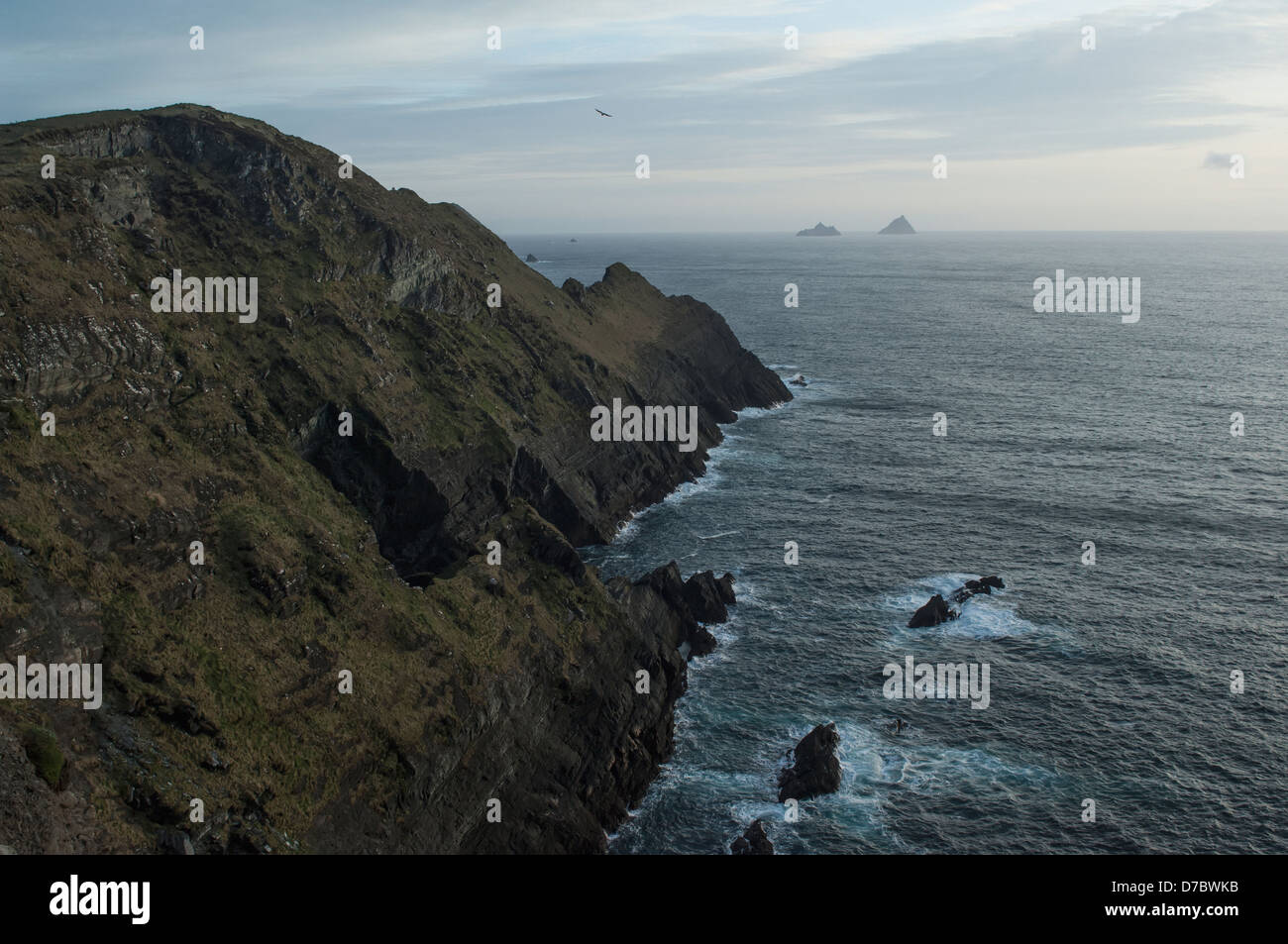 Skellig michael and little skellig viewed from the cliffs above ...