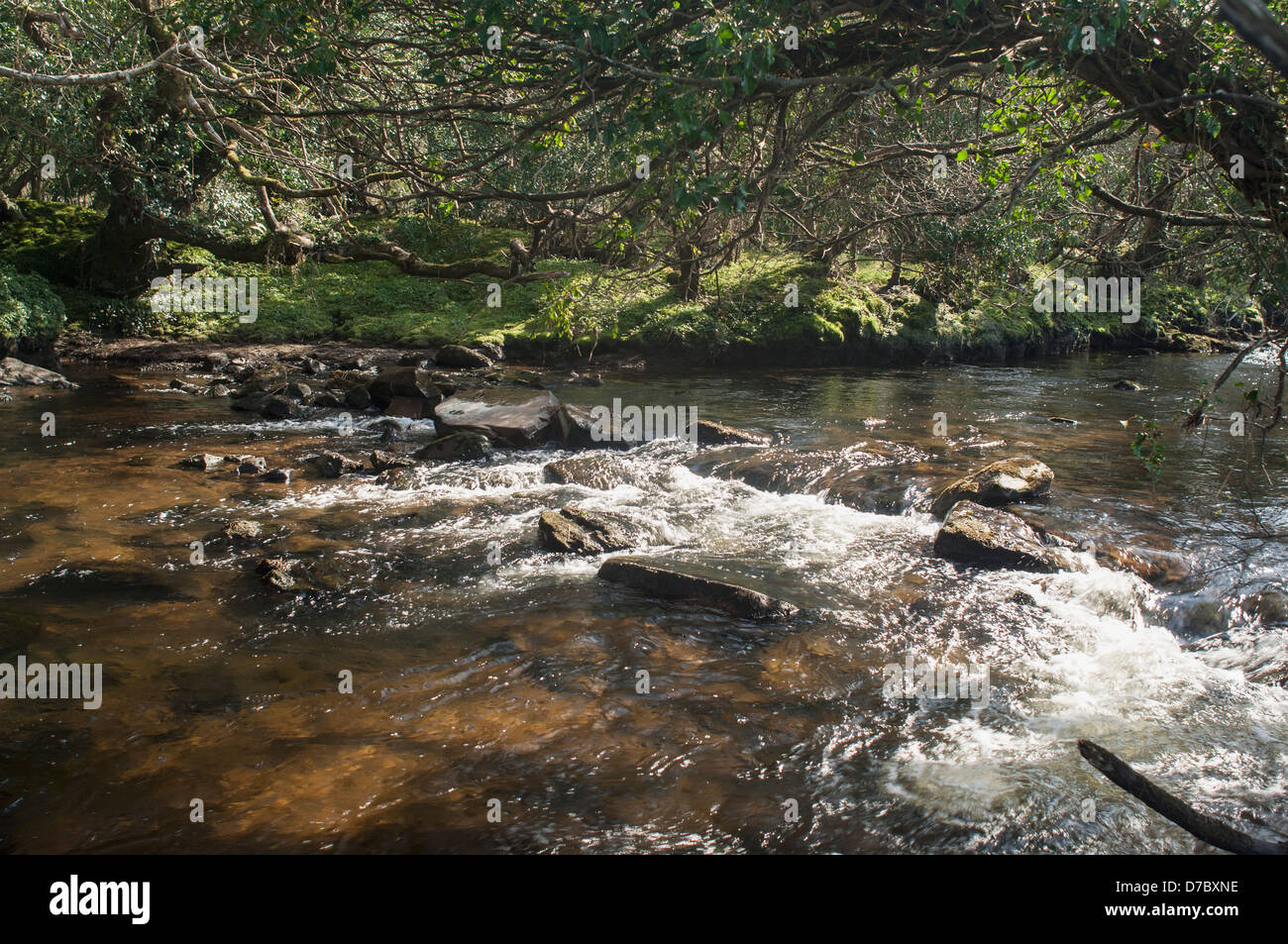 Caragh Stock Photos & Caragh Stock Images - Alamy