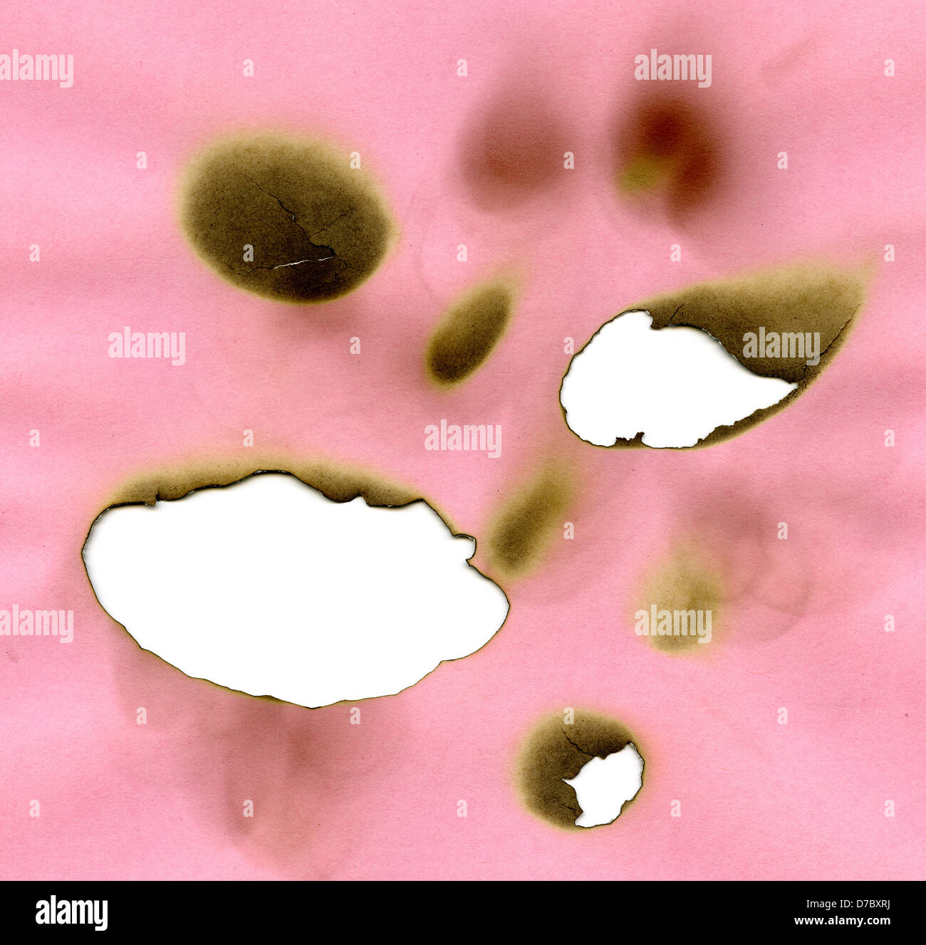 Texture of pink fiber paper, partially burned, leaving white copy space ...