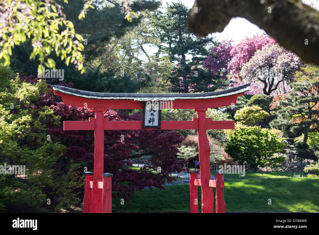 The red gate in the Japanese Garden at the Brooklyn Botanic Garden, New ...