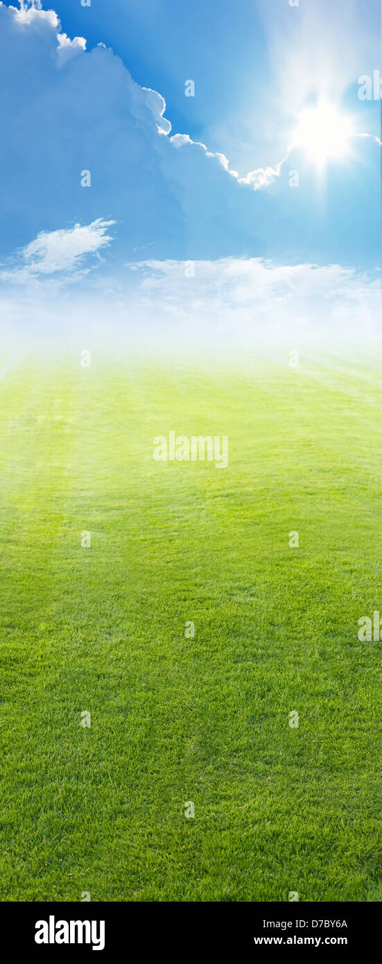 Beautiful vertical background - green field, blue sky, white clouds ...