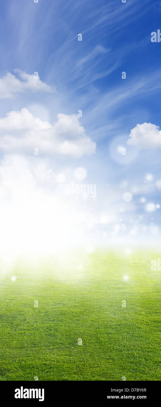 Beautiful vertical background - green field, blue sky, white clouds, bright sun Stock Photo - Alamy
