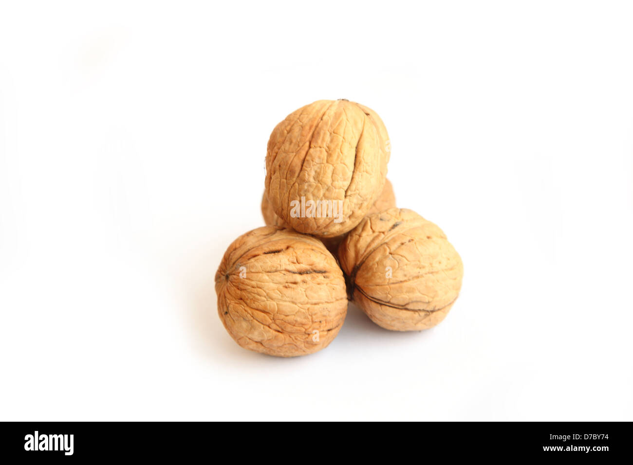 walnut isolated on white background Stock Photo - Alamy