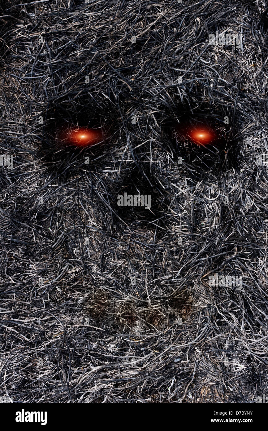 Burnt skull hi-res stock photography and images - Alamy