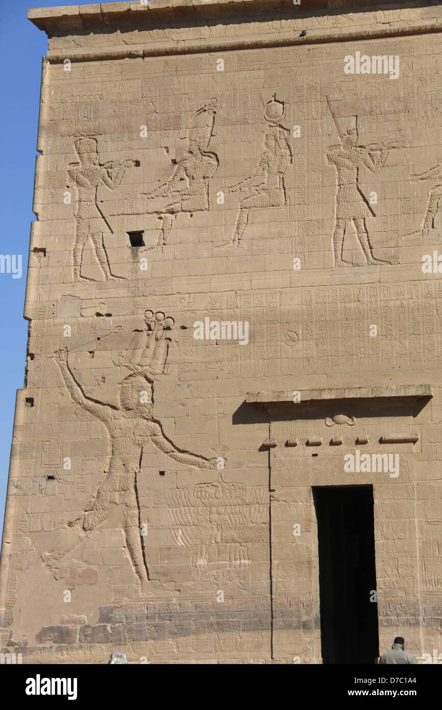 HORUS CARVING ON PYLON OF THE TEMPLE OF ISIS PHILAE AGILKIA ISLAND ...