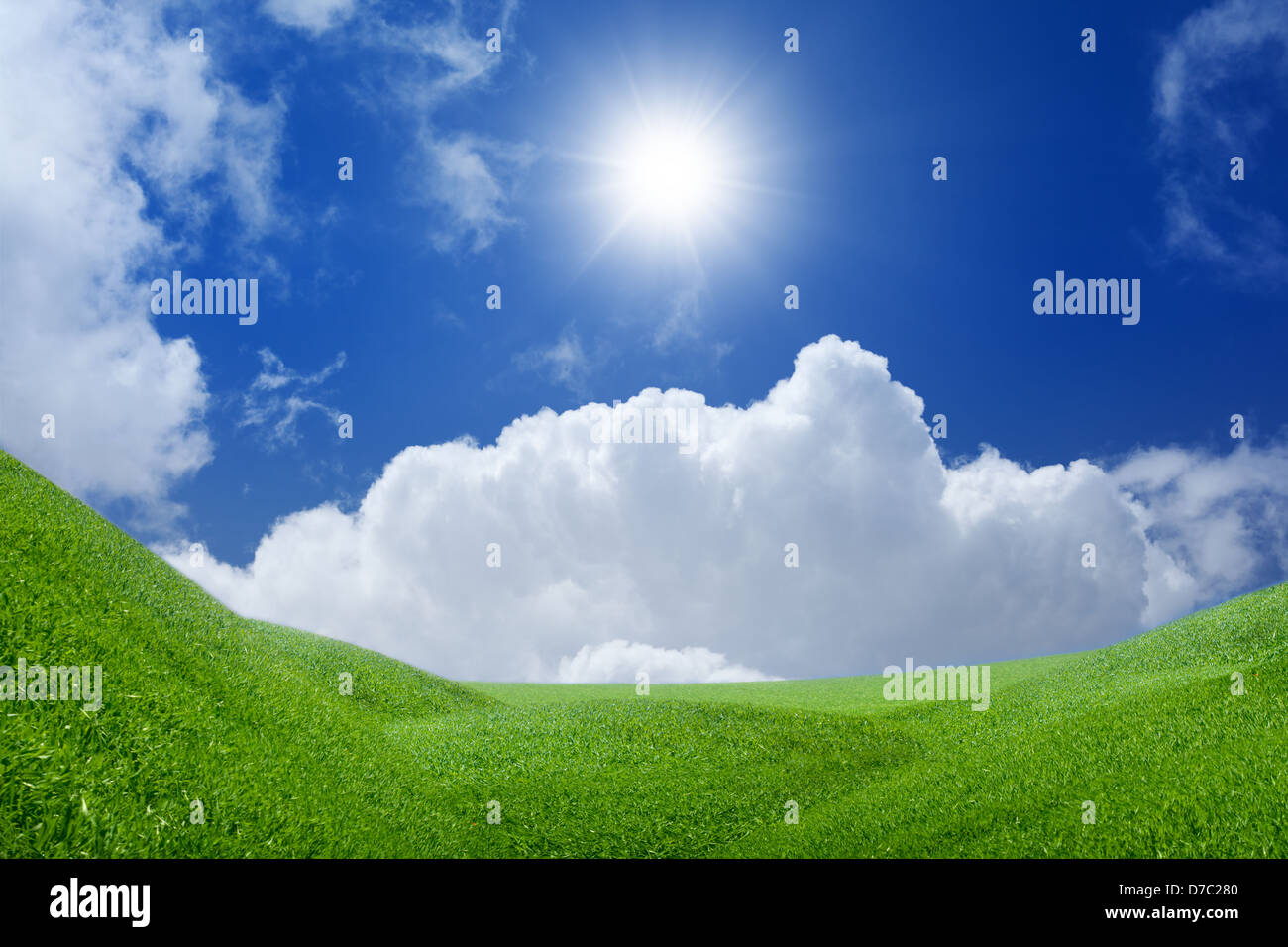 Grass And White Sky Wallpaper