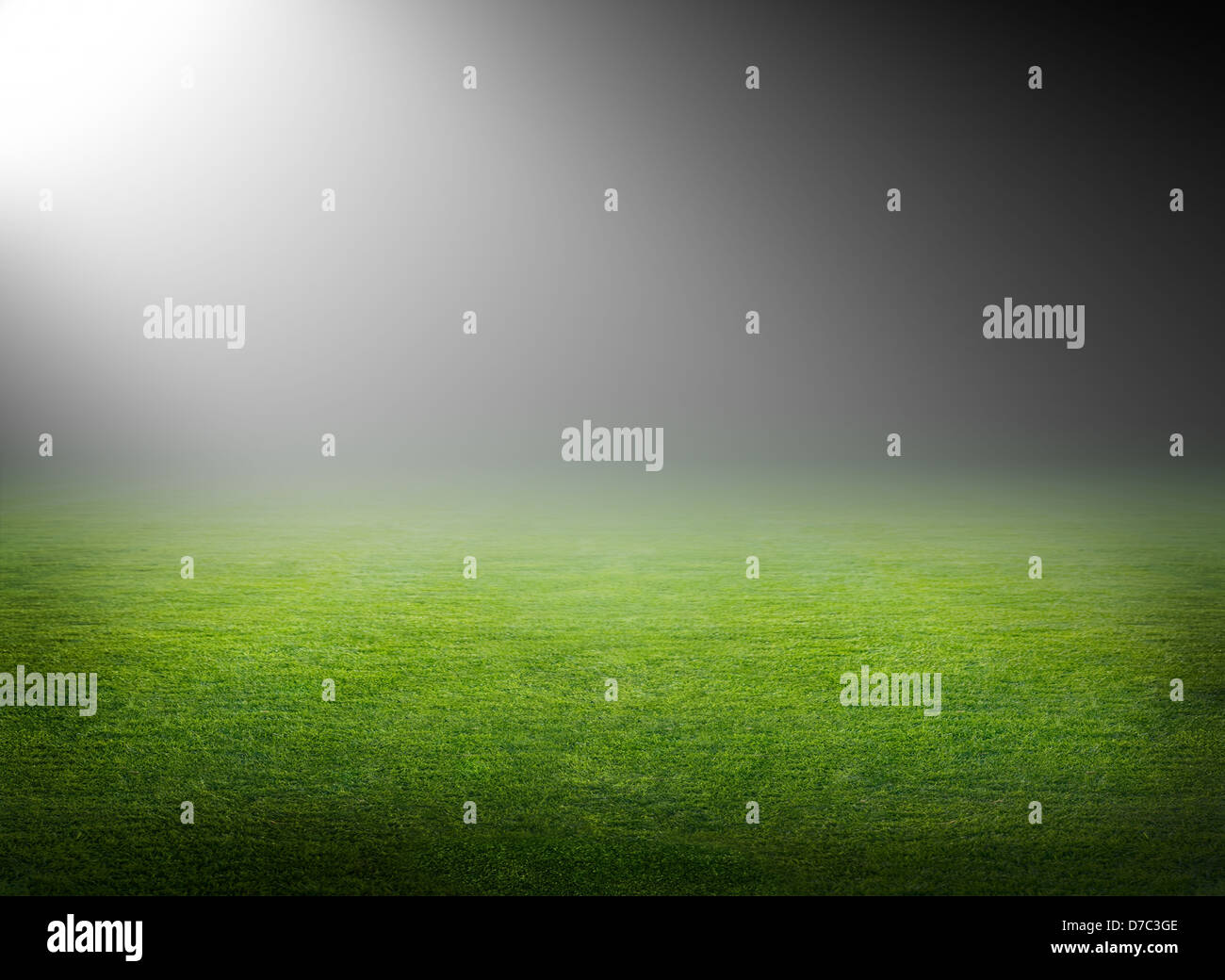 Green soccer field, bright spotlight, illuminated stadium Stock Photo ...