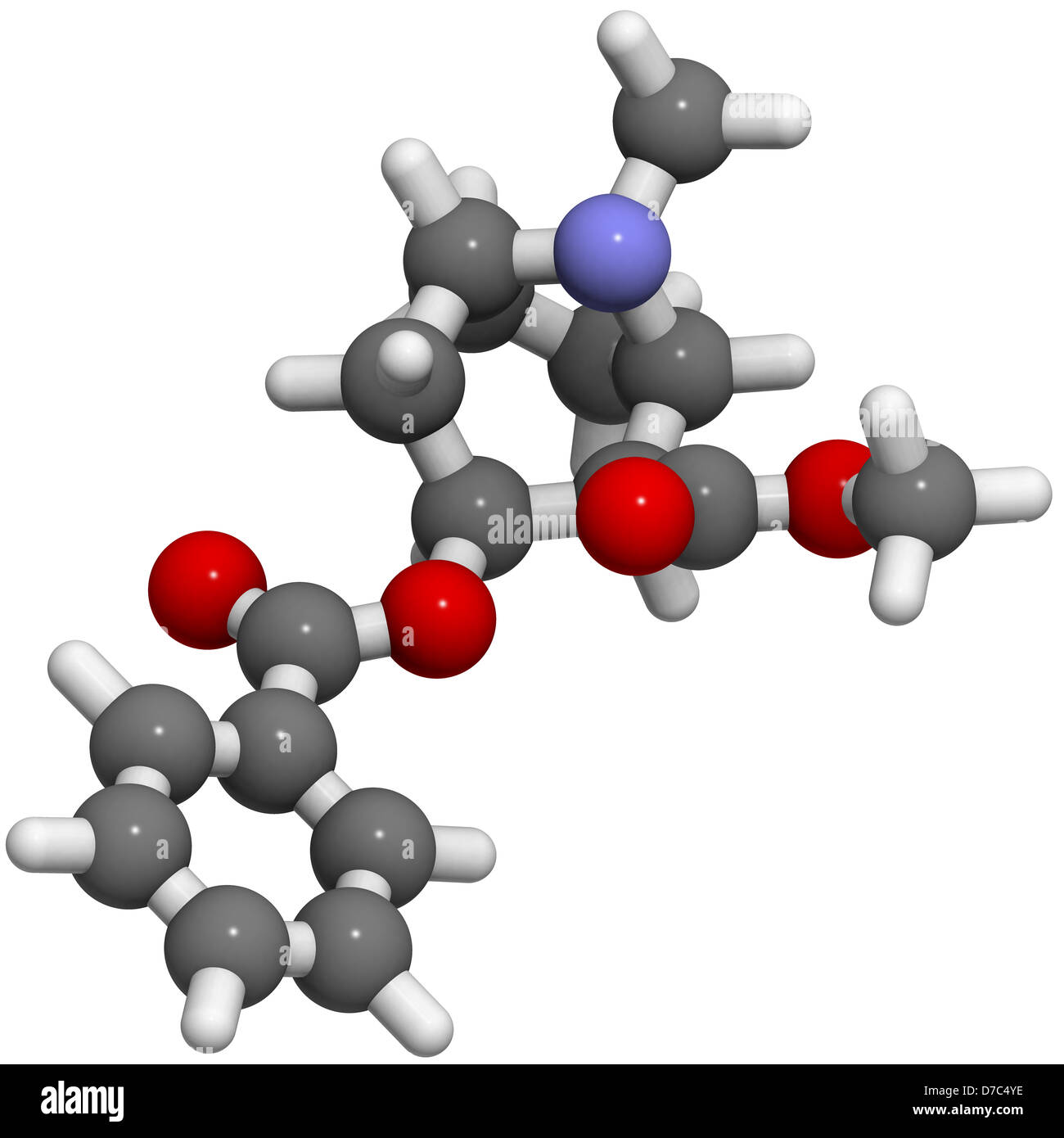 Cocaine drug, molecular model. Atoms are represented as spheres with ...