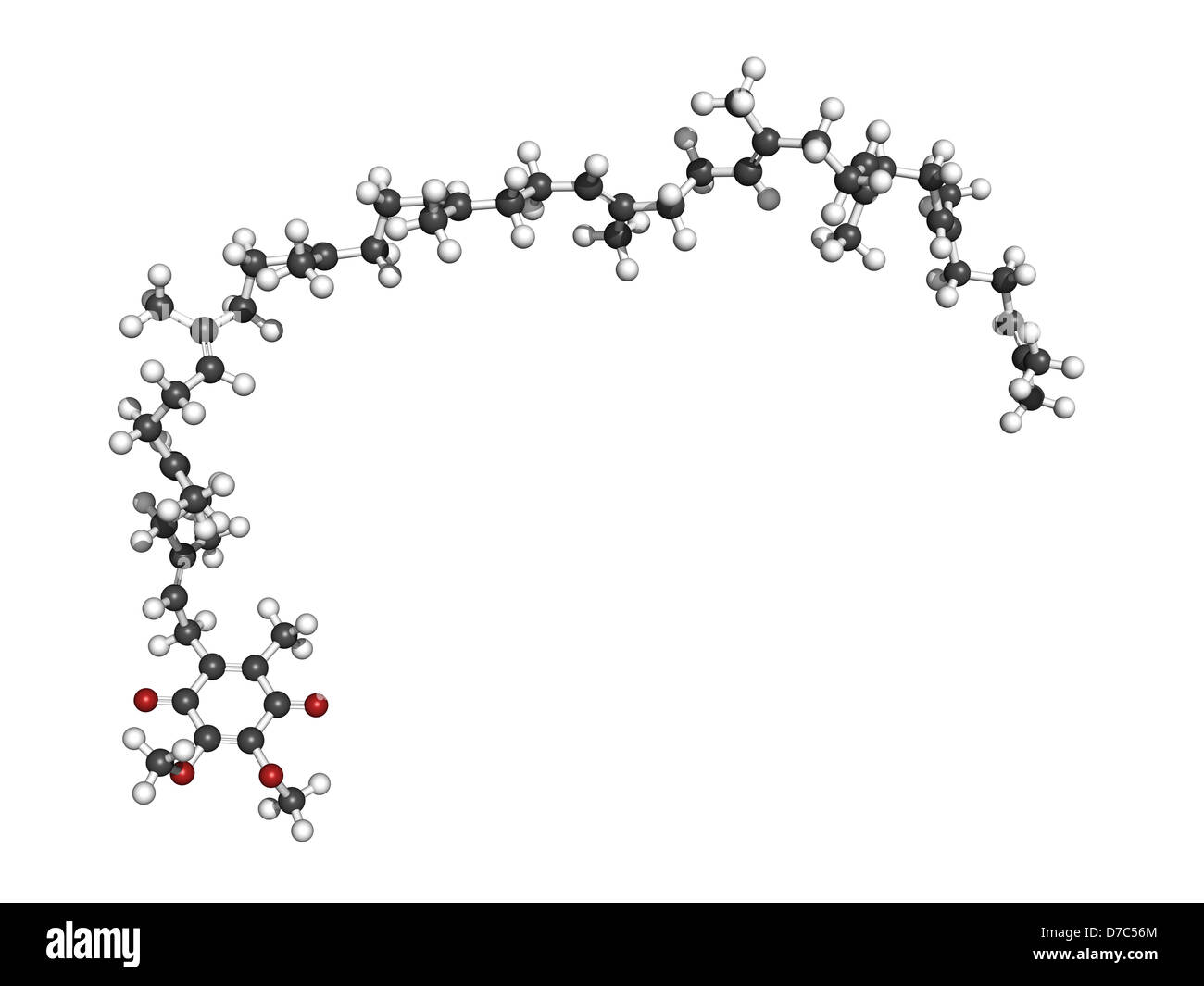 Coenzyme Q10 (ubiquinone) molecule, chemical structure Stock Photo - Alamy