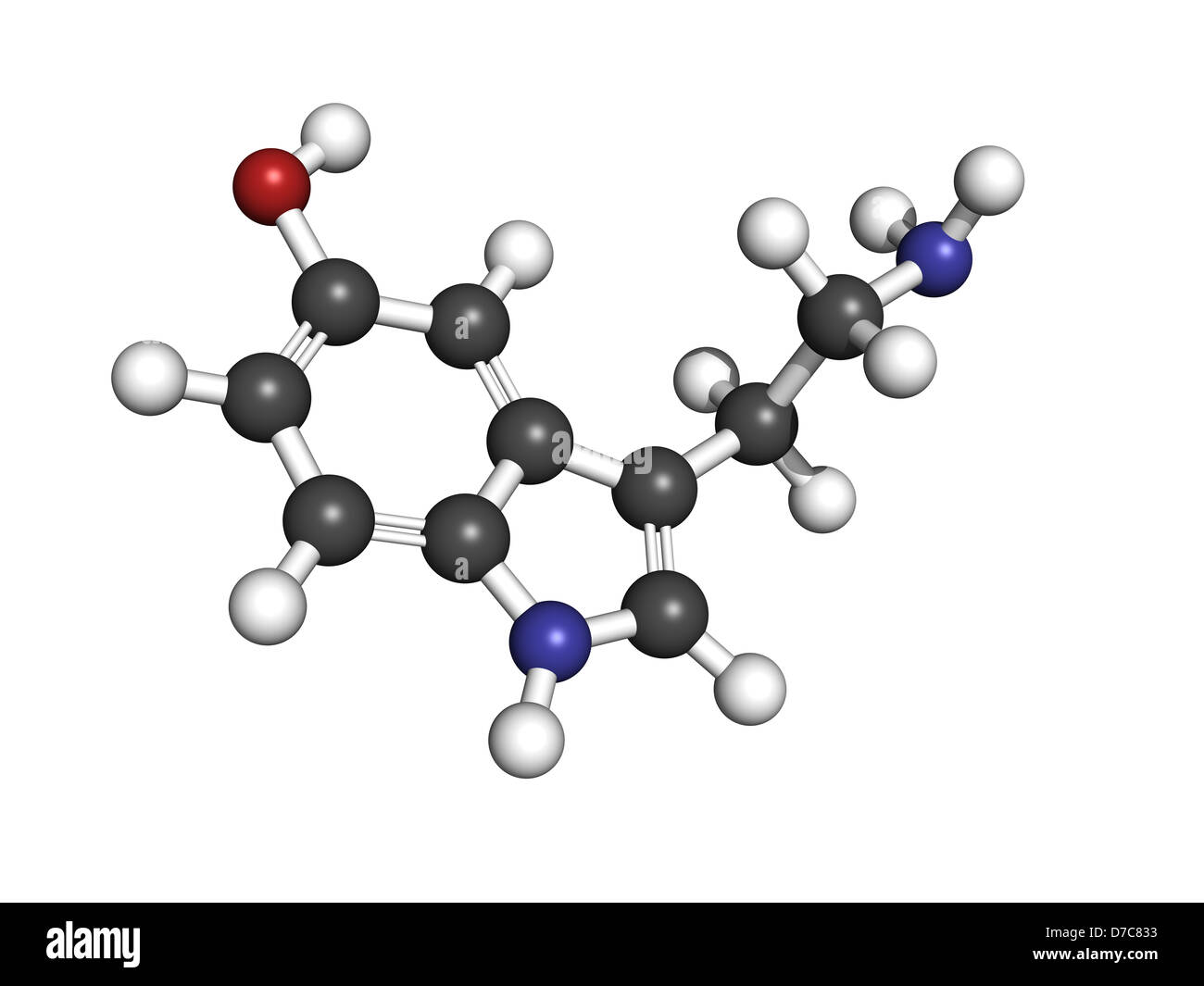 Serotonin Neurotransmitter Molecular Model Serotonin Is Also Known As 5 Hydroxytryptamine 5