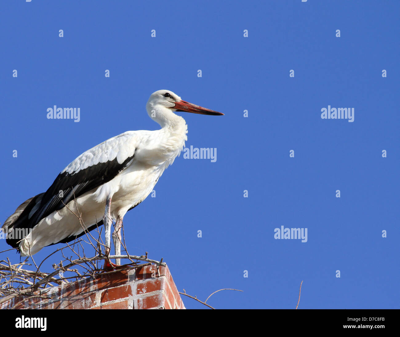 Standing brick chimney hi-res stock photography and images - Alamy