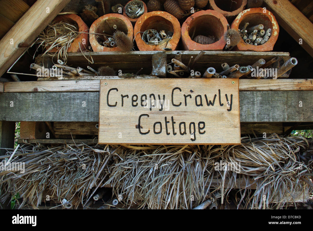 Creepy crawly hi-res stock photography and images - Alamy