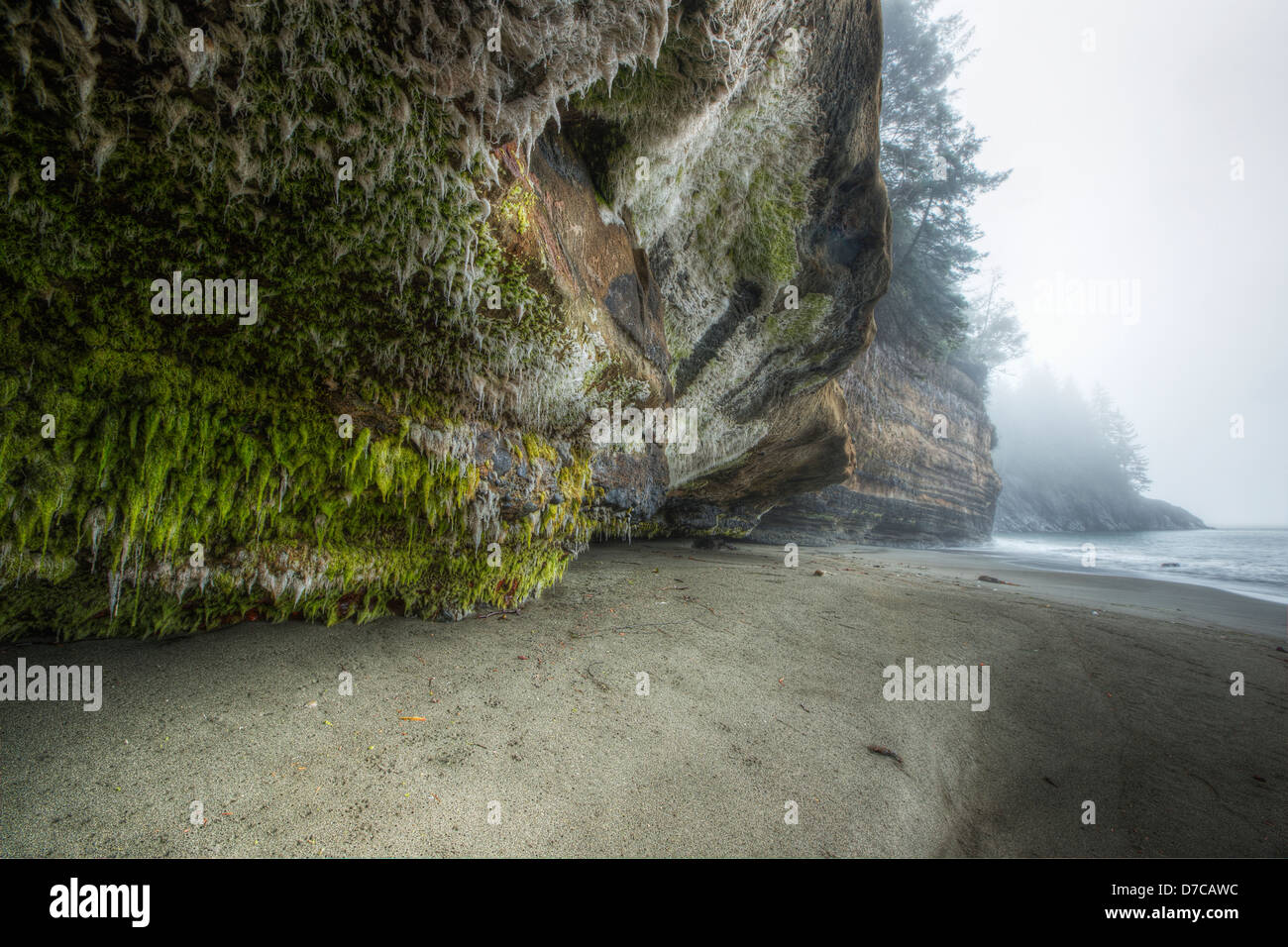 Mystic Beach Along The Juan De Fuca Marine Trail;Vancouver Island ...