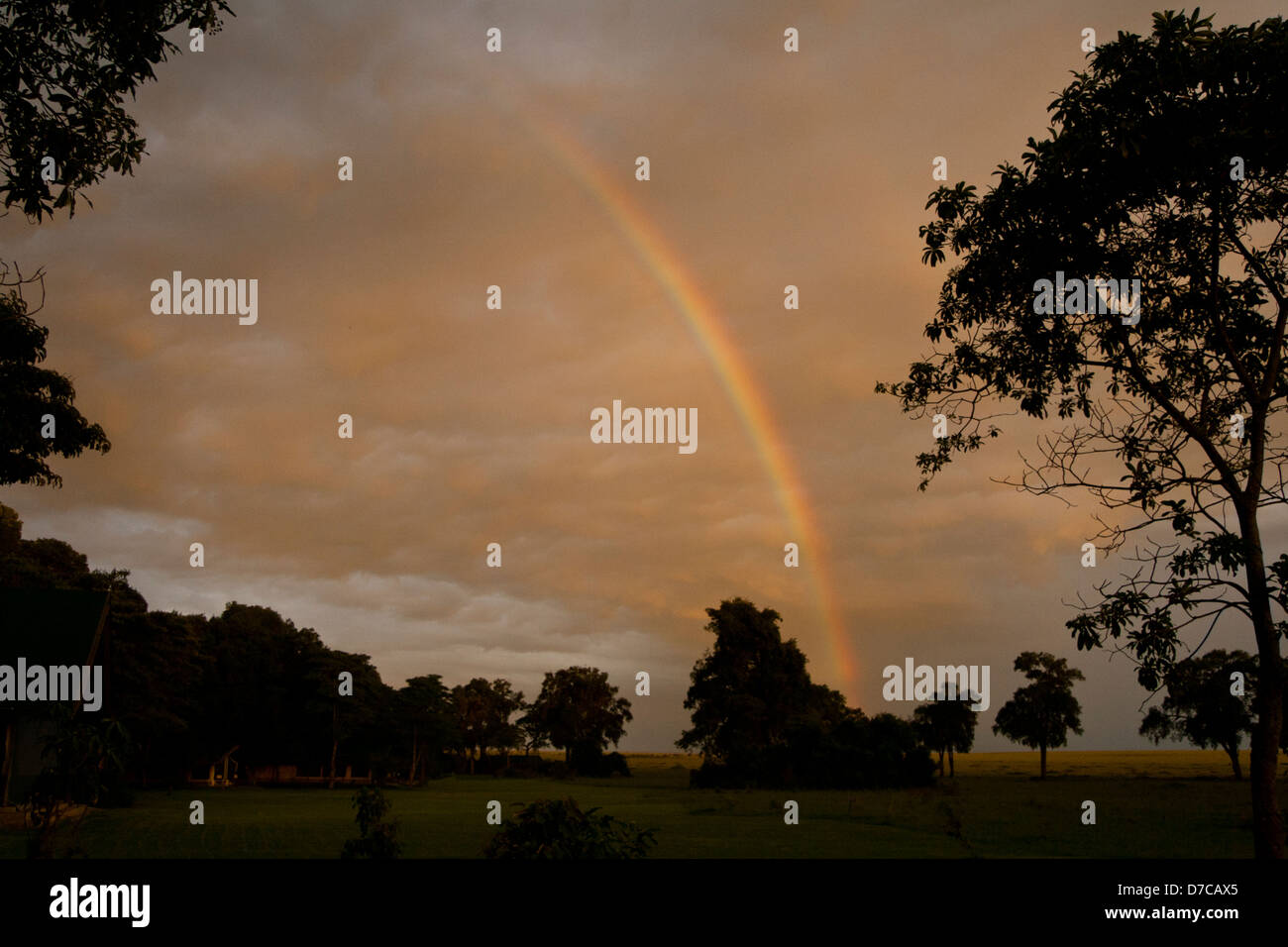 Moody mara landscape trees hi-res stock photography and images - Alamy
