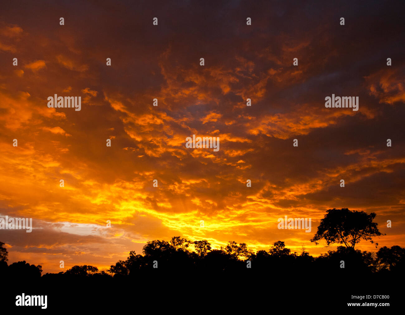 Fiery Orange and Yellow Sunset over the Masai Mara, Kenya, East Africa ...
