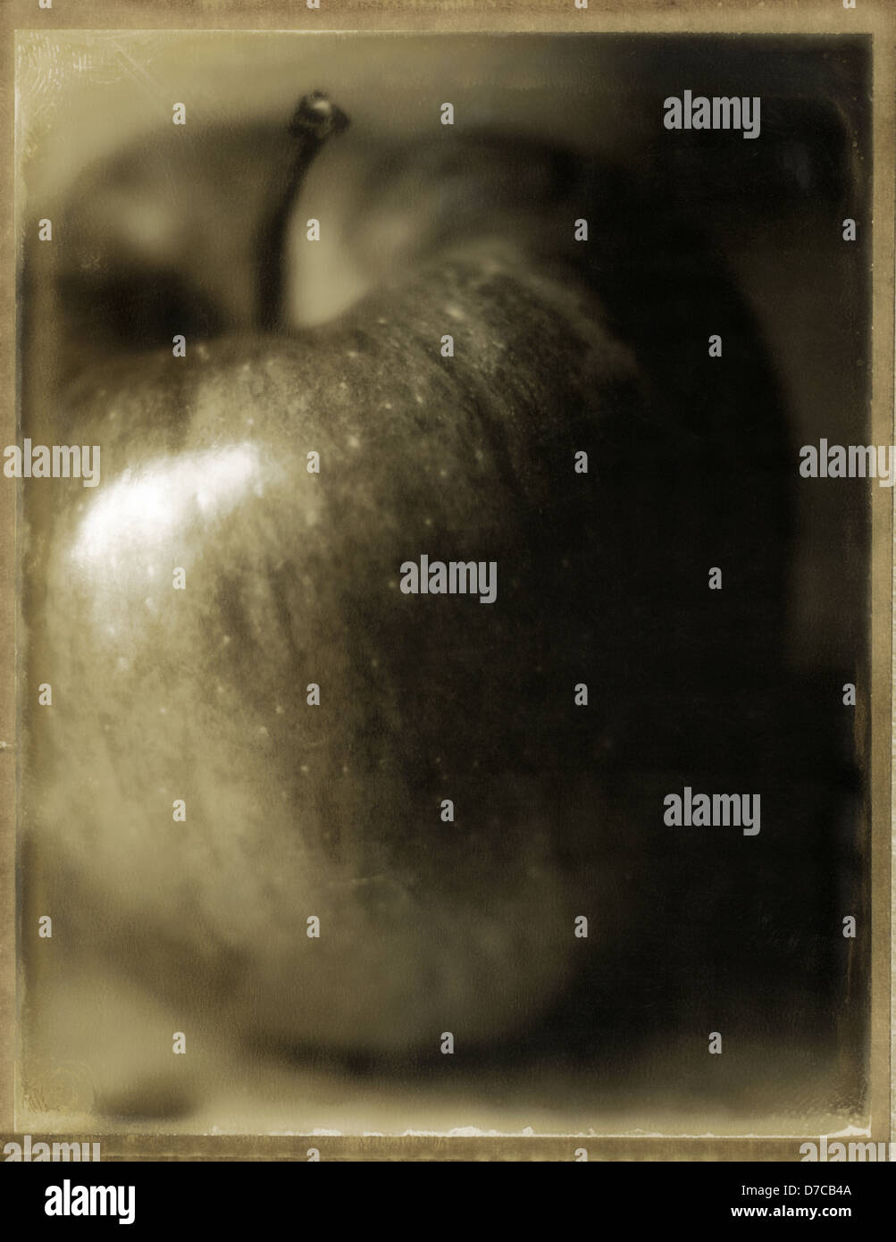 Focus on study in hi-res stock photography and images - Alamy