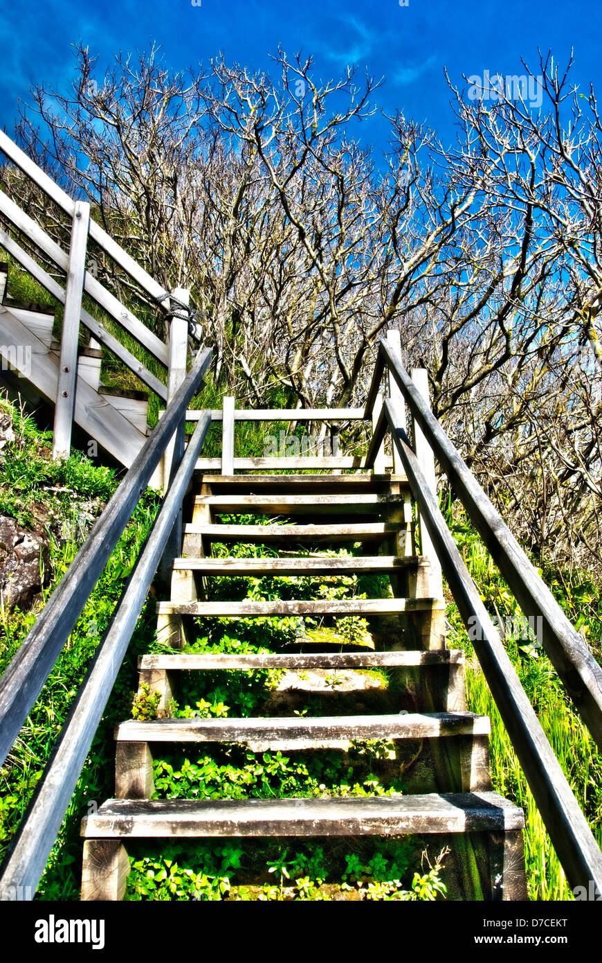 Blue steps background hi-res stock photography and images - Alamy