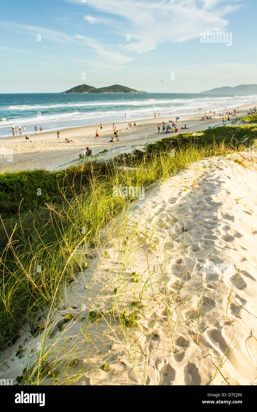 Campeche beach island in hi-res stock photography and images - Alamy