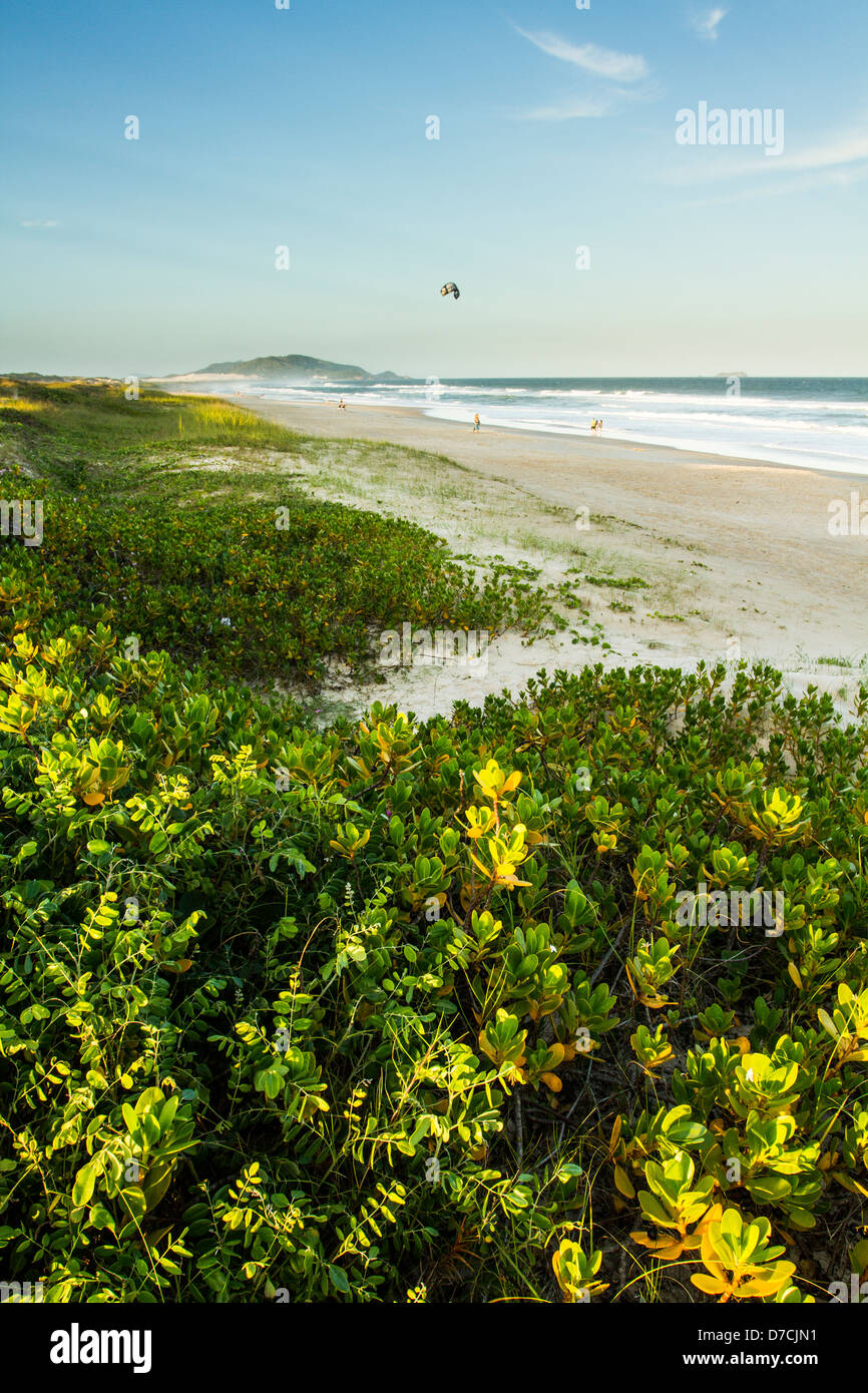 Campeche beach island in hi-res stock photography and images - Alamy