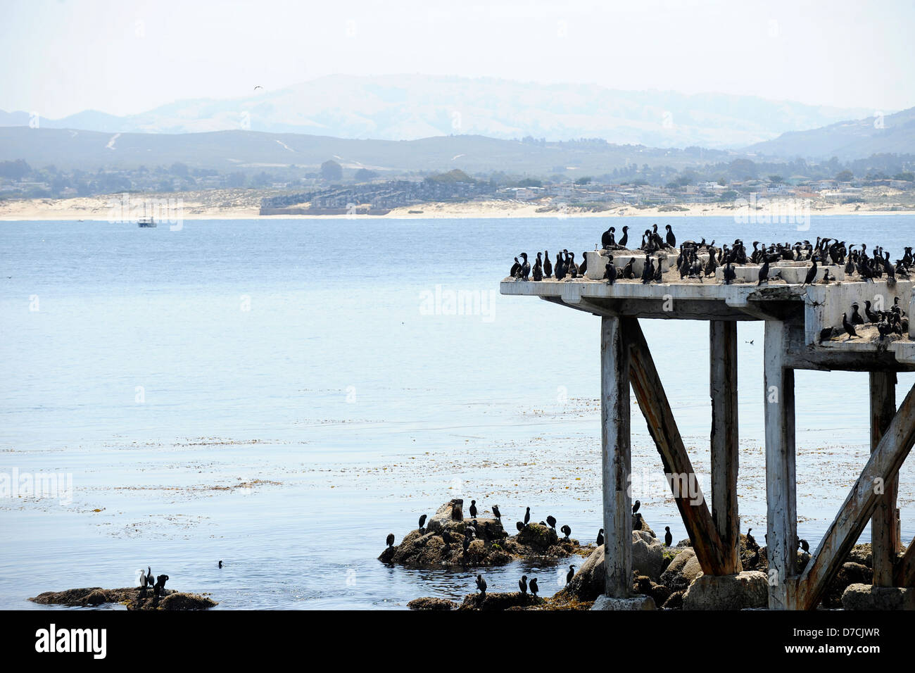 A general view of Monterey California Stock Photo - Alamy